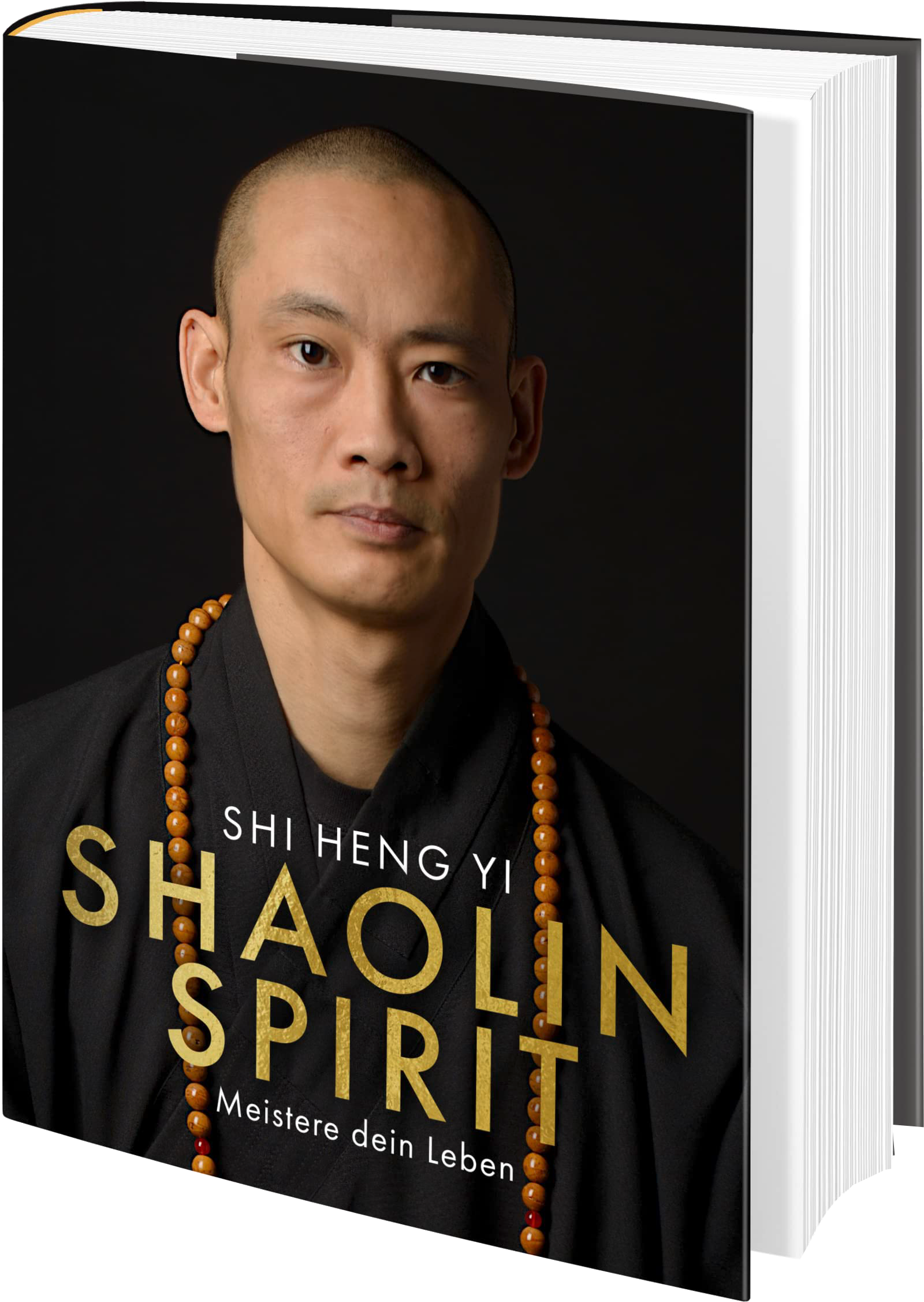 歐洲少林寺 · Shaolin Temple Europe - Live and train in the monastery